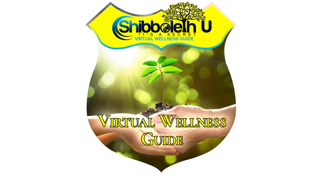 Virtual Wellness Guide Certified - Faithfully Fit