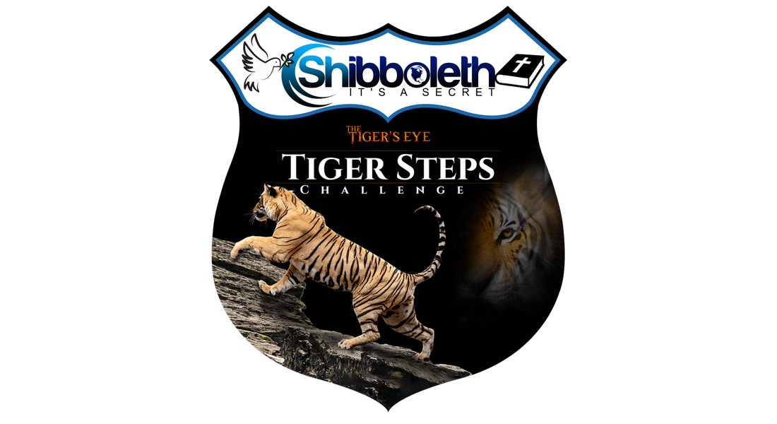 Tiger Steps Challenge 2024 - I AM Faithfully Fit